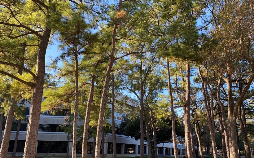 Dart Relaunches Republic Square Office Complex - Connect CRE